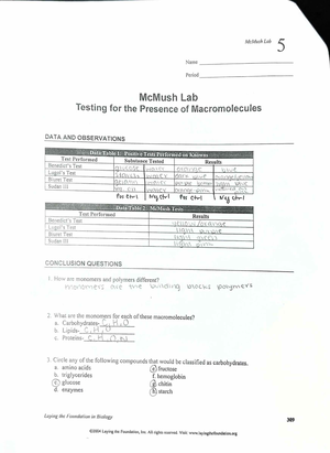 Membrane function - Studocu