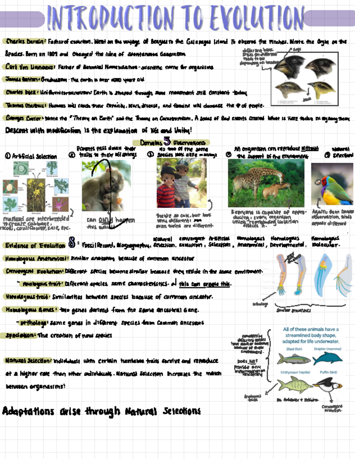 Introduction to Evolution - 1111111111 ####### ' Charles Darwin ...