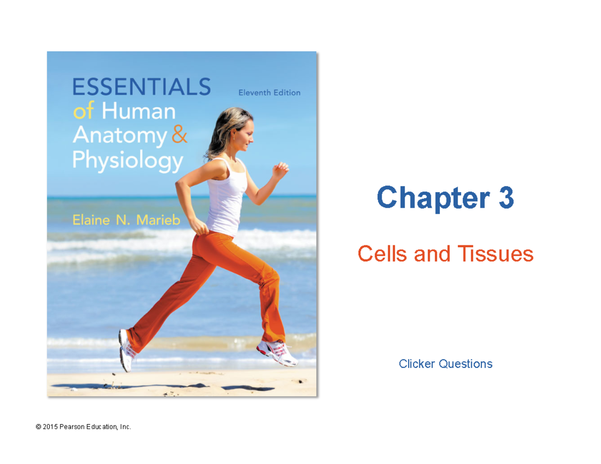 Ch 03 Clicker - ahcawdfweh - Clicker Questions Chapter 3 Cells and ...