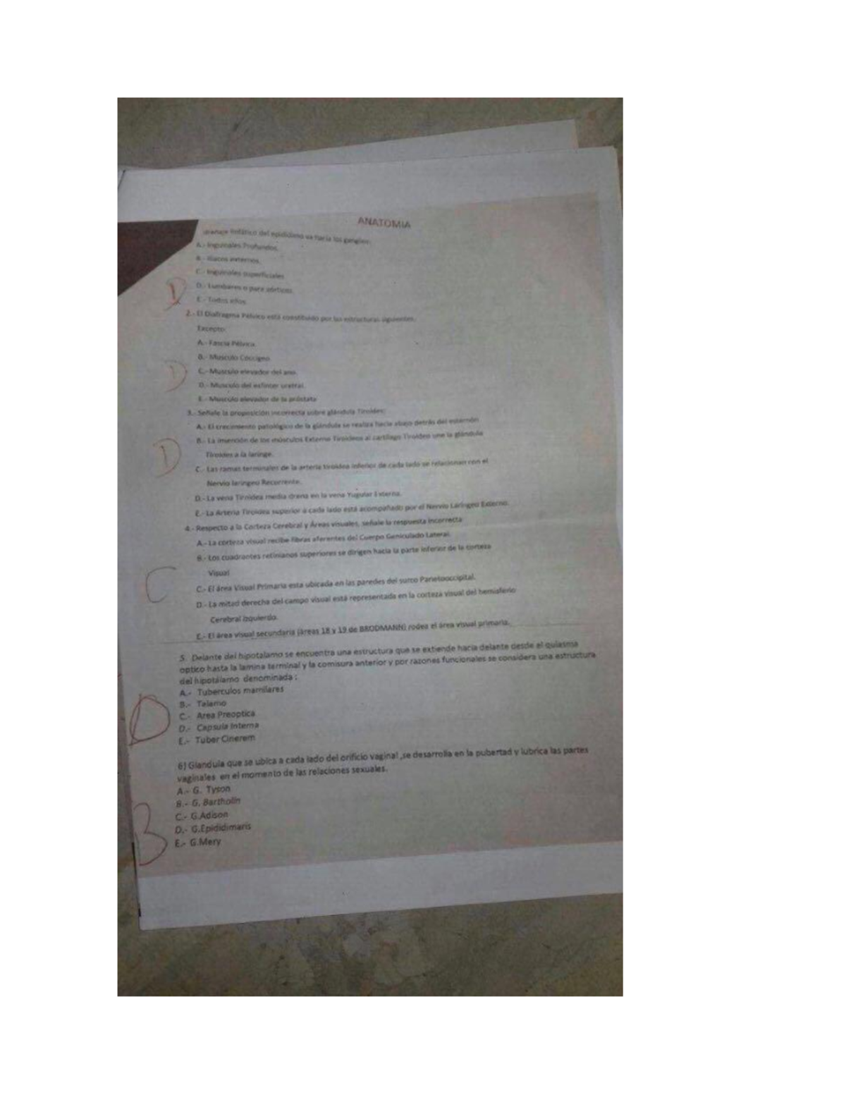 2017-Final - final morfo 2 - Morfofisiología II - Studocu