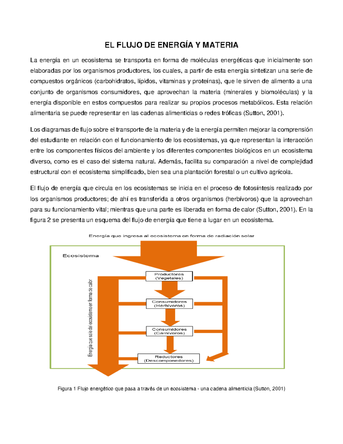EL Flujo DE Energía practica 1 cch oriente - EL FLUJO DE ENERGÍA Y MATERIA La energía en un ...