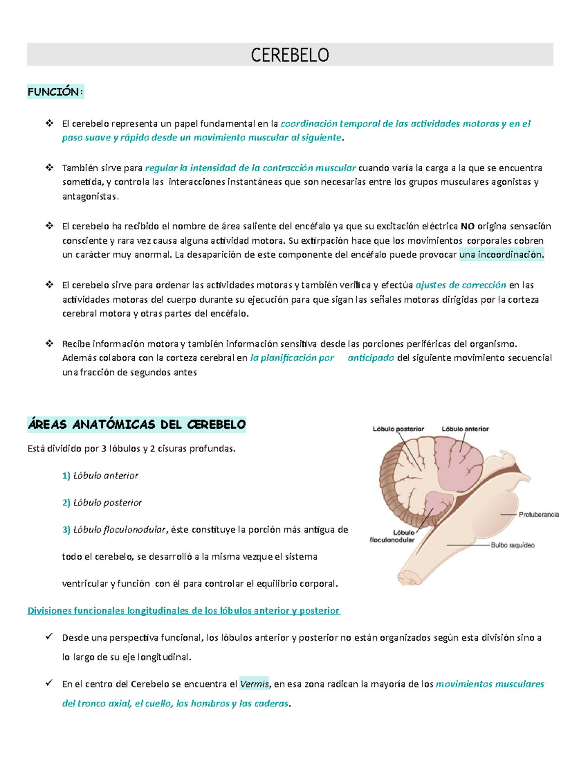 CAP 57- cerebelo - muy bueno - Guyton e Hall - Fisiologia medica 13 ed. - CEREBELO FUNCIÓN: El ...