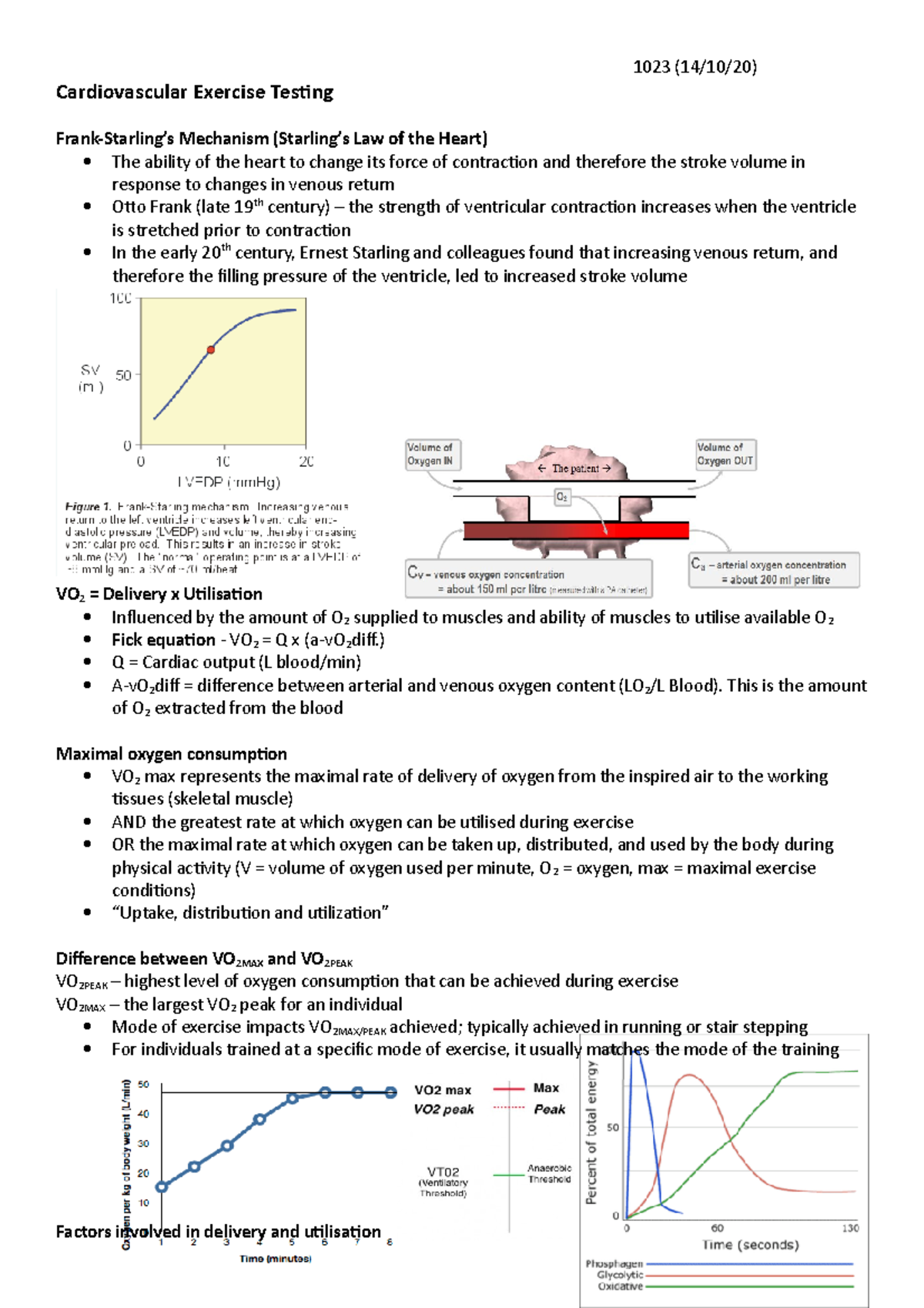 Cardiovascular Exercise Testing - Cardiovascular Exercise Testing Frank ...