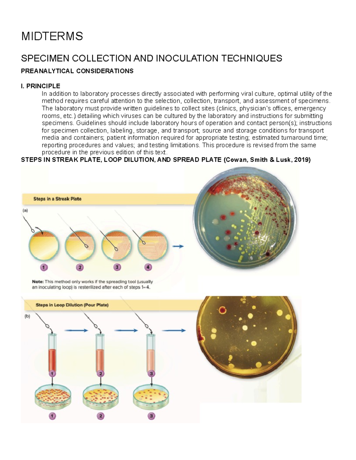 Midterms- Micro LAB - NONE - MIDTERMS SPECIMEN COLLECTION AND ...