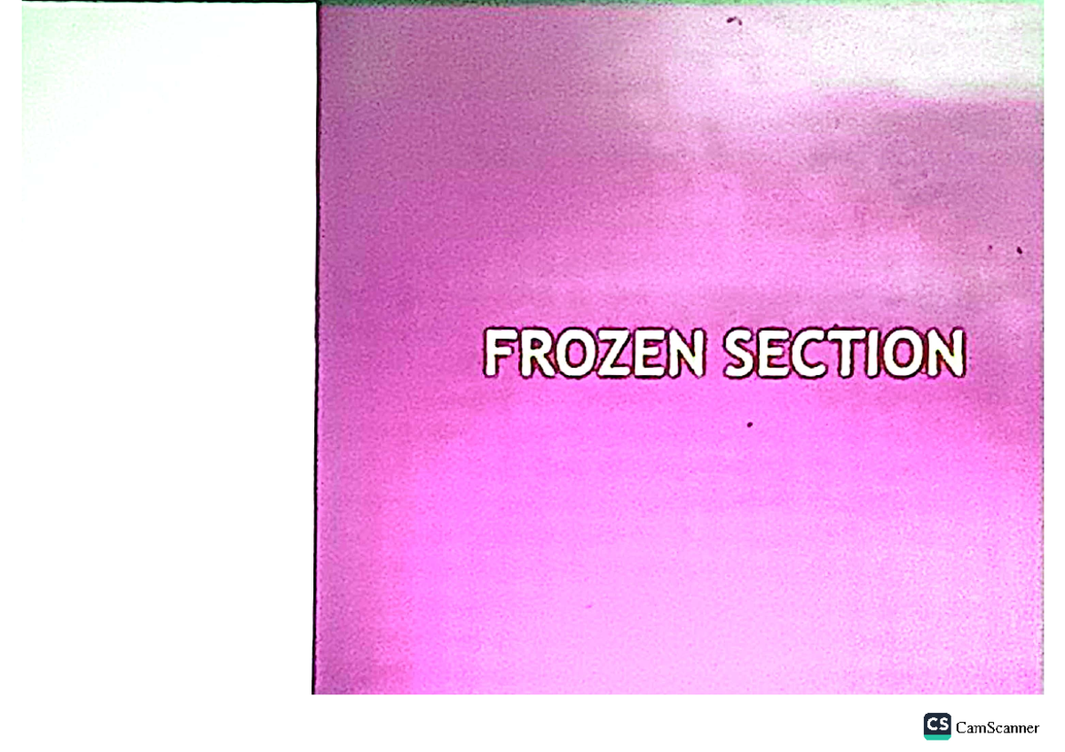 Frozen-Section - Bachelor of Elementary Education - Studocu