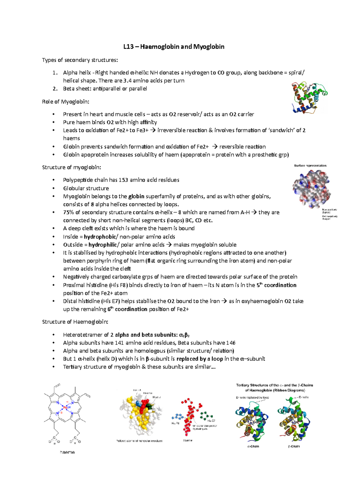 L13 - Structure and function of Hb and myoglobin - L13 – Haemoglobin ...