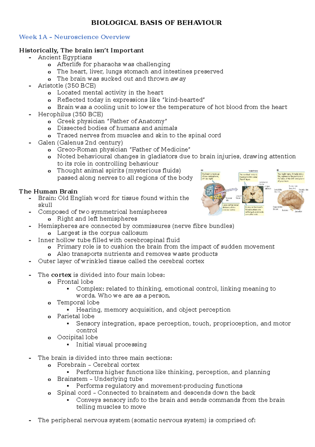 Biological Basis OF Behaviour - BIOLOGICAL BASIS OF BEHAVIOUR Week 1A ...