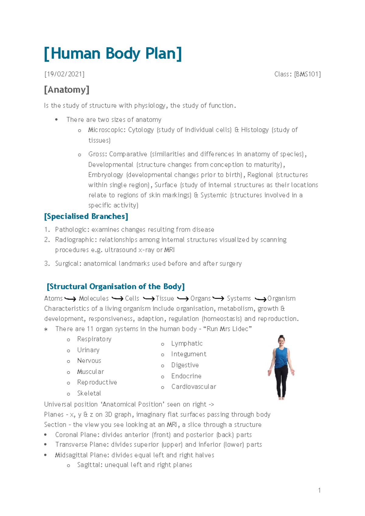 Lecture 1 Human Body Plan Human Body Plan 19 02 2021 Class