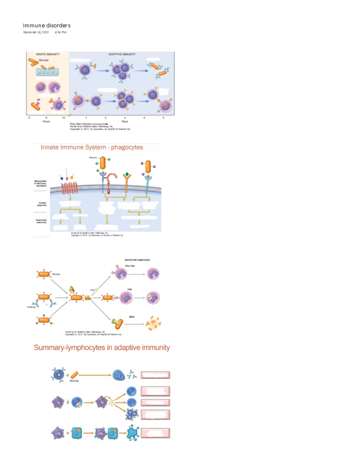 Immune Diagrams Fill-in-the-blank - Pathology 3500A/B - Immune ...