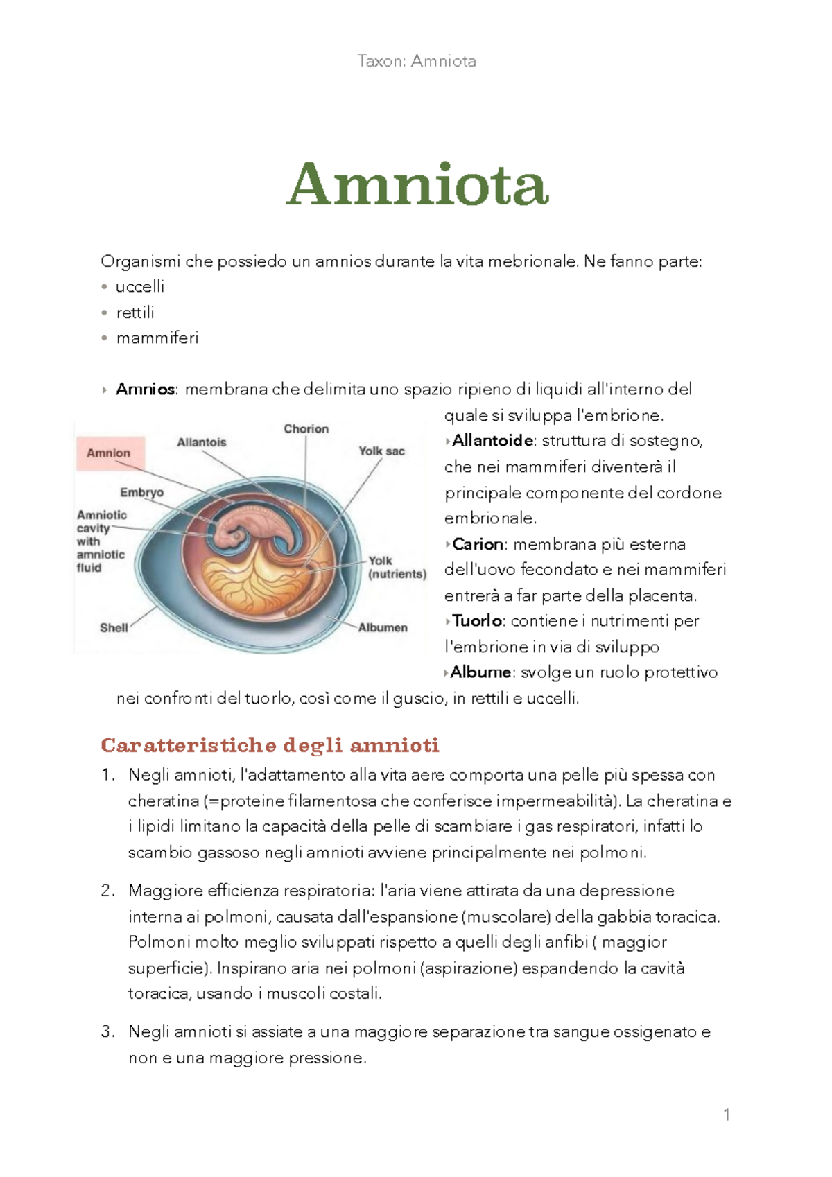 Riassunto Rettili e Uccelli Slide + Libro (prof. Casiraghi) - ! Taxon ...