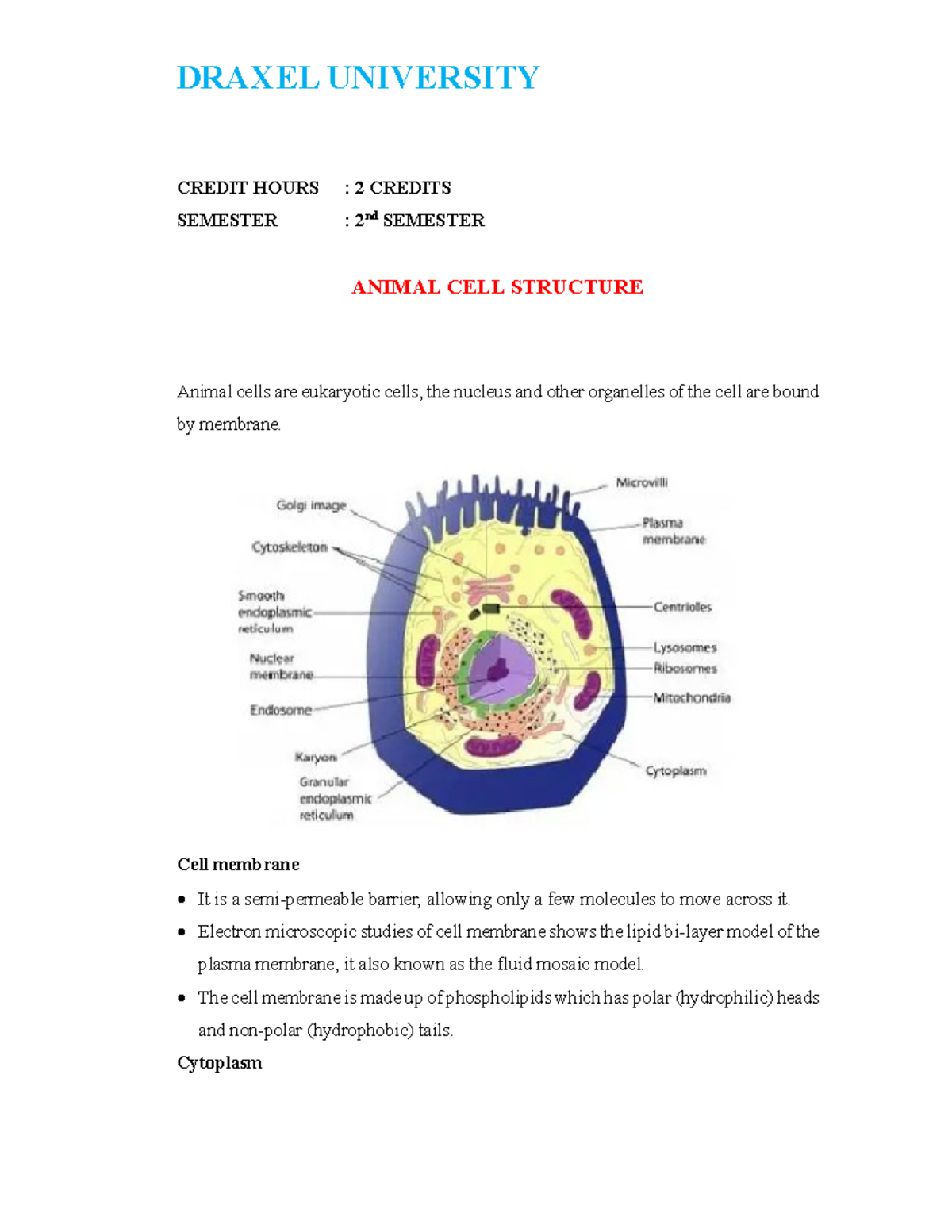 Lecturer Notes Animal CELL Structure - CREDIT HOURS : 2 CREDITS ...