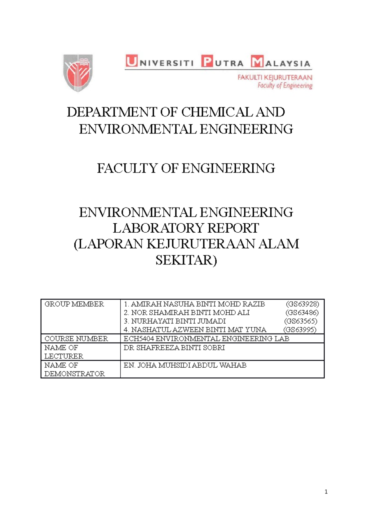FULL LAB Report - DEPARTMENT OF CHEMICAL AND ENVIRONMENTAL ENGINEERING ...
