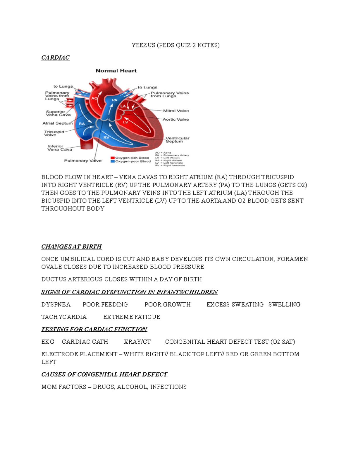 PED QUIZ 2 Notes - YEEZUS (PEDS QUIZ 2 NOTES) CARDIAC BLOOD FLOW IN ...