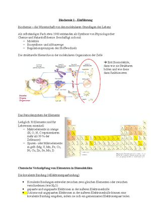 Biochemie - Alles, was in der Vorlesung drankommt - Biochemie für ...