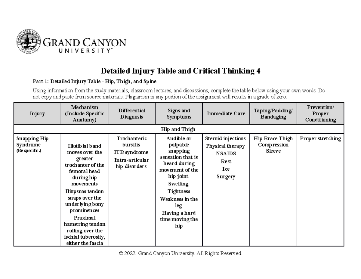 Detailed Injury Table 4 - Do not copy and paste from source materials ...
