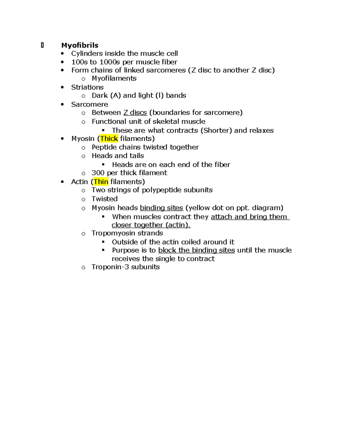 Myofibrils - More misc. muscle notes - Myofibrils Cylinders inside the ...