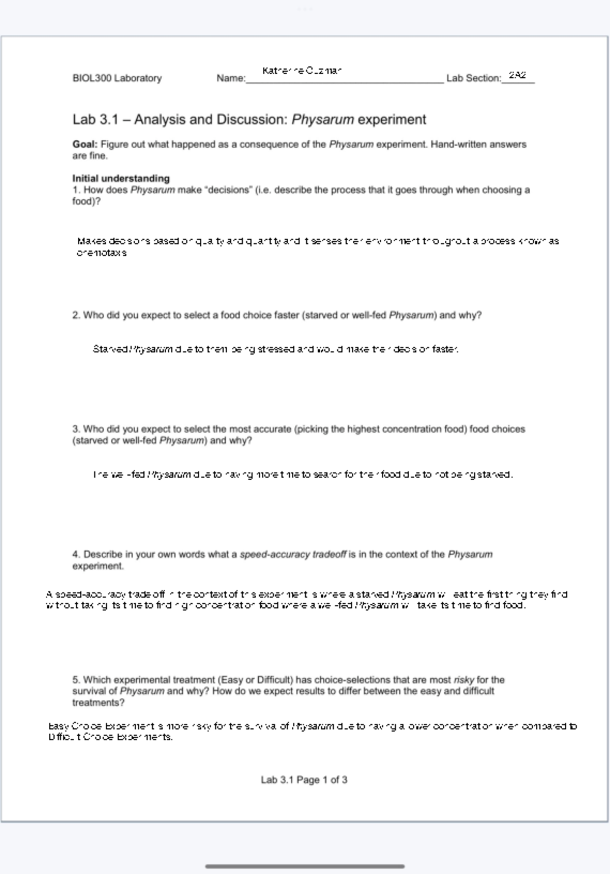 3.1 Analysis and Discussion Physarum Experiment - Makes decisions based ...