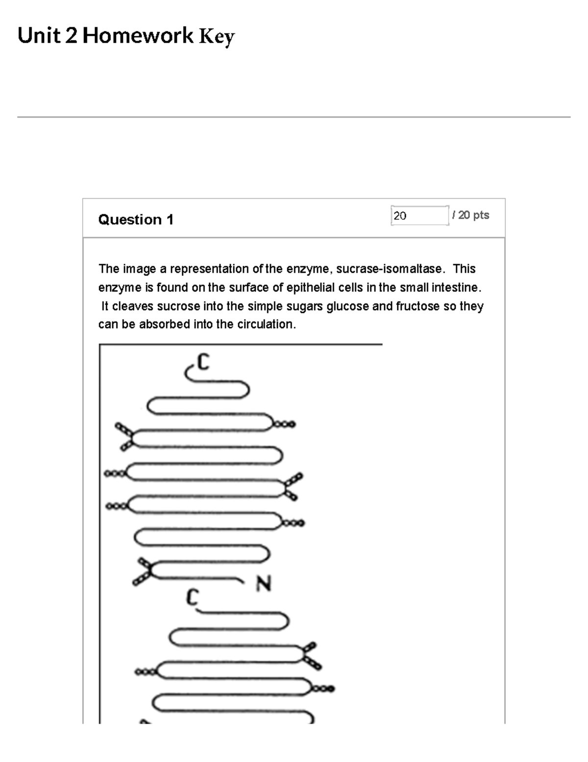 Unit 2 homework key - Unit 2 Homework Key Question 1 20 20 pts The ...