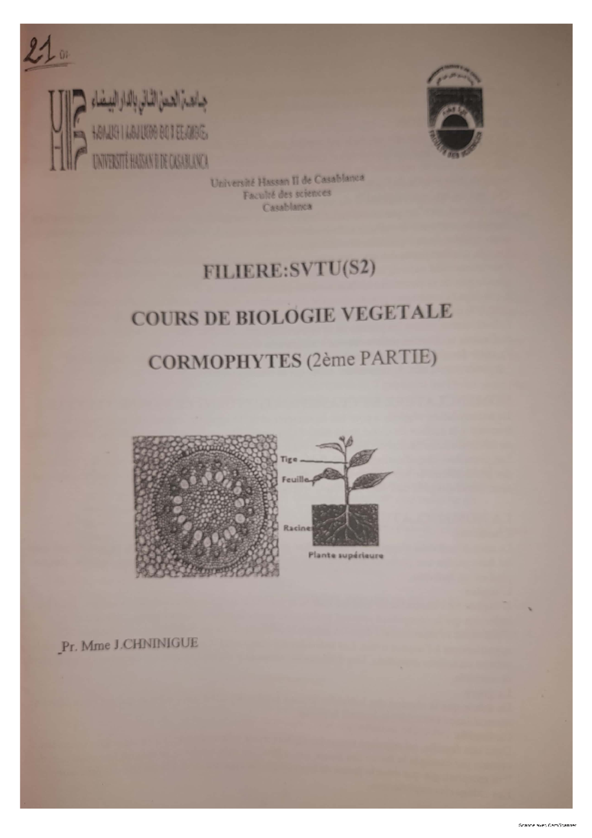 Cour Biologie végétale LES Cormophytes BCG (S2) 2024 - biologie - Studocu
