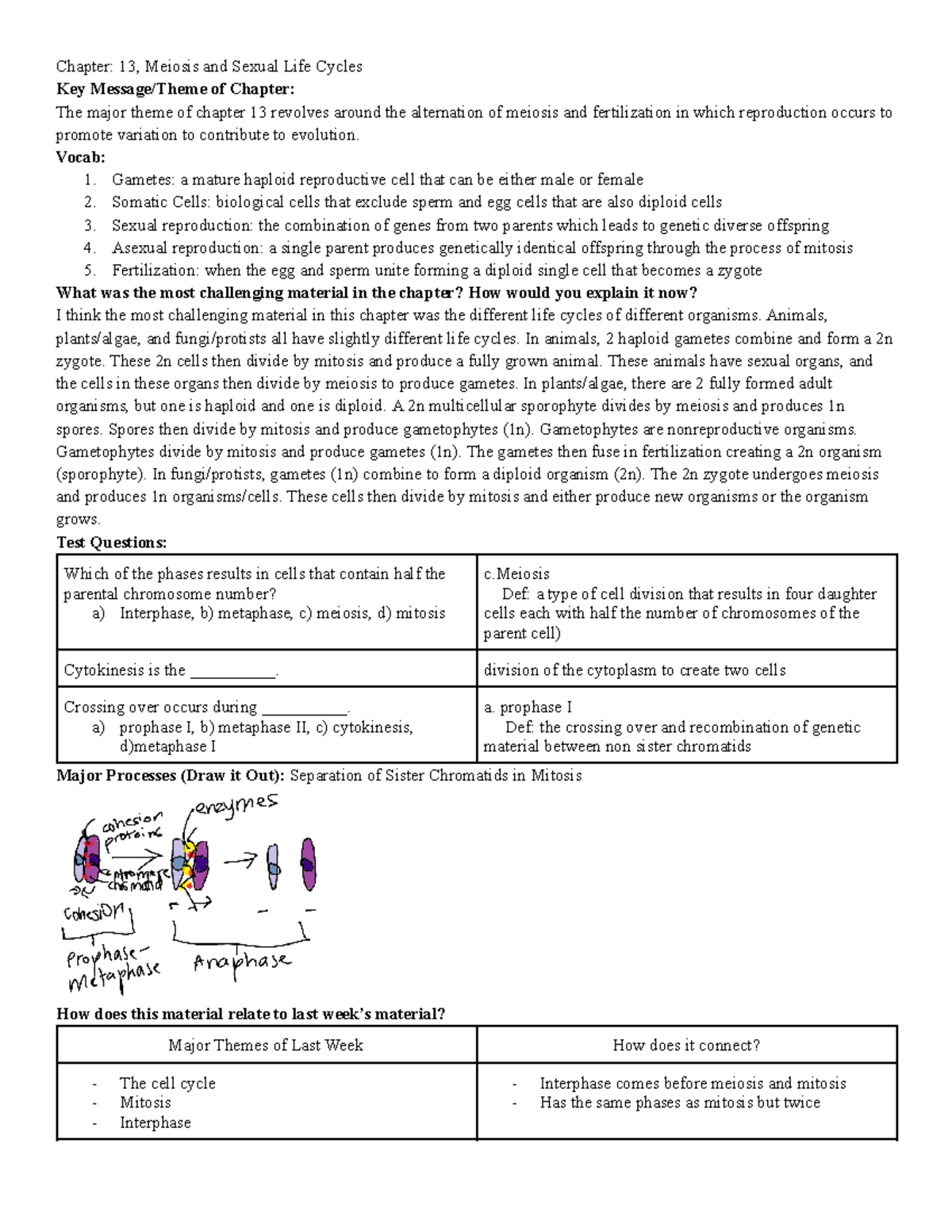 Chapter 13 Study Guide - Chapter: 13, Meiosis and Sexual Life Cycles ...