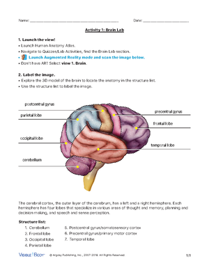 Module 2 Learning Objectives - SBIO 361 B: Vertebrate Histology Module ...