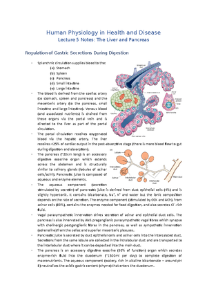Lecture 2 Notes (Regulation of Gastric and SI Secretions) - Human ...