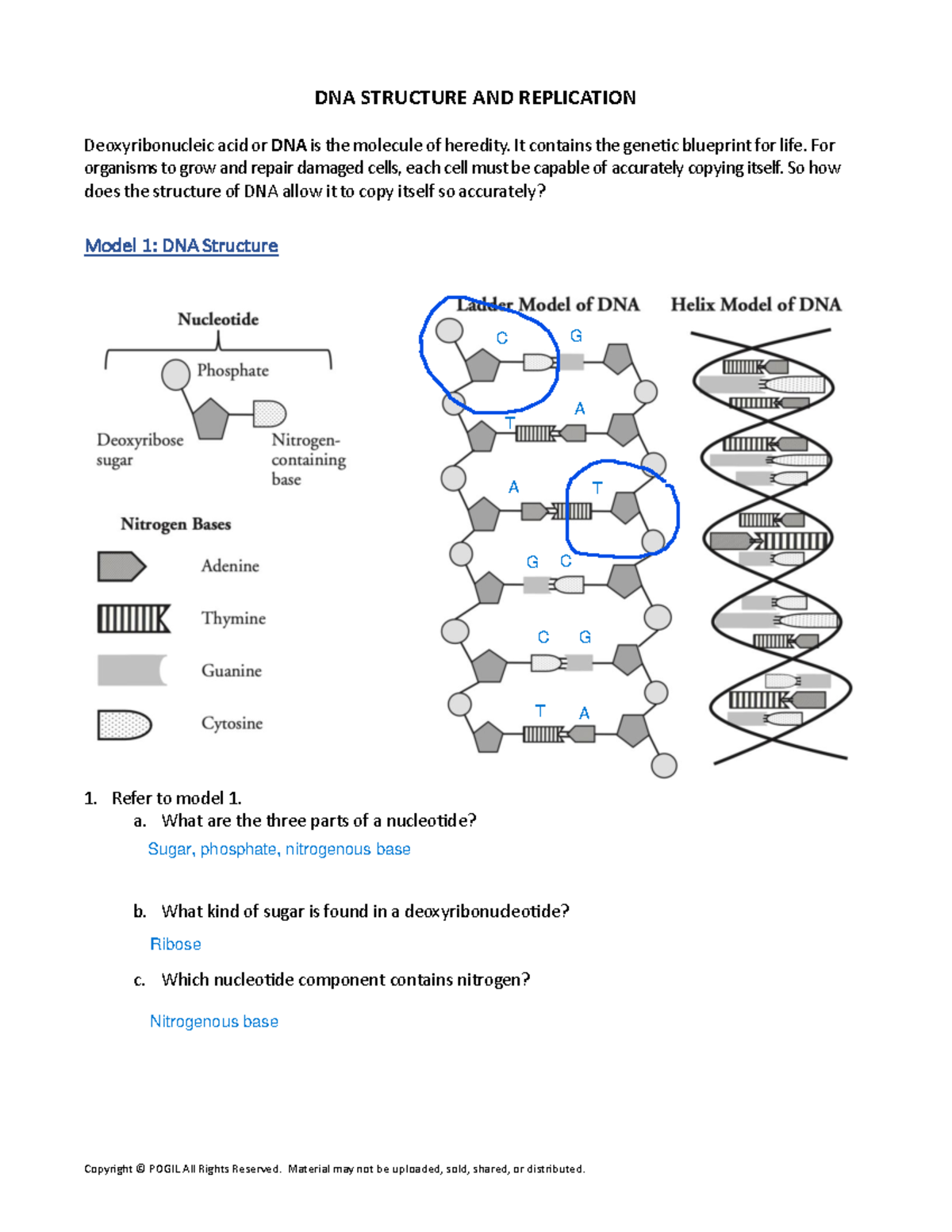 DNA replication worksheet-1-1 - DNA STRUCTURE AND REPLICATION ...
