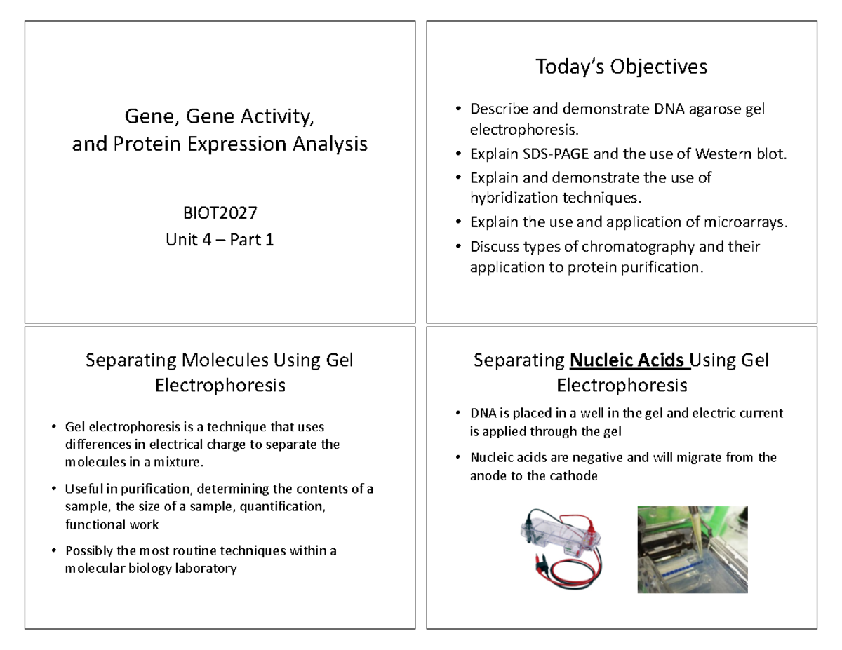 Unit 4 - Part 1 Gene, Gene Activity, and Protein Expression Analysis ...