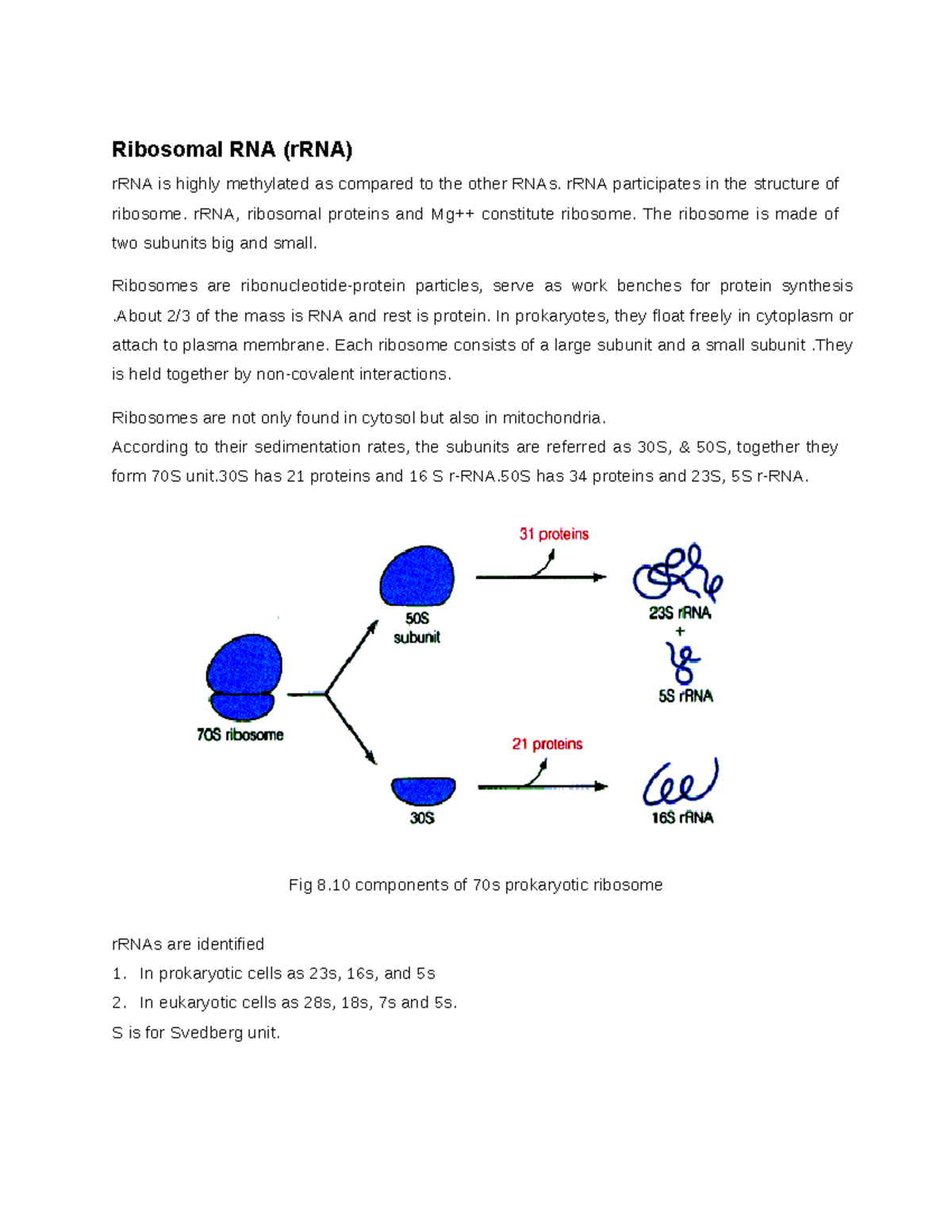 Ribosomal RNA - rRNA participates in the structure of ribosome. rRNA ...
