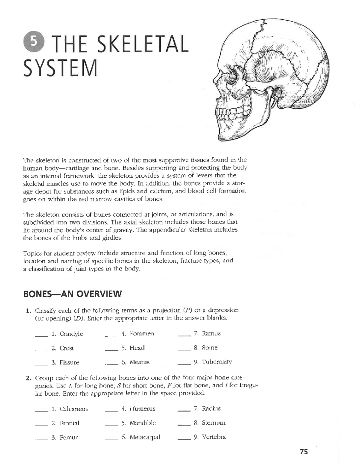 Skeletal Worksheet - BIOL 2113(L) - Studocu