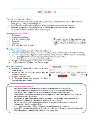 Transduccion De Señales Parte Ii Resumen Ejecutivo Clase Pasada