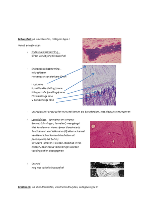 Bindweefsel, kraakbeen, botweefsel - Bindweefsel Functies: - Steun van ...