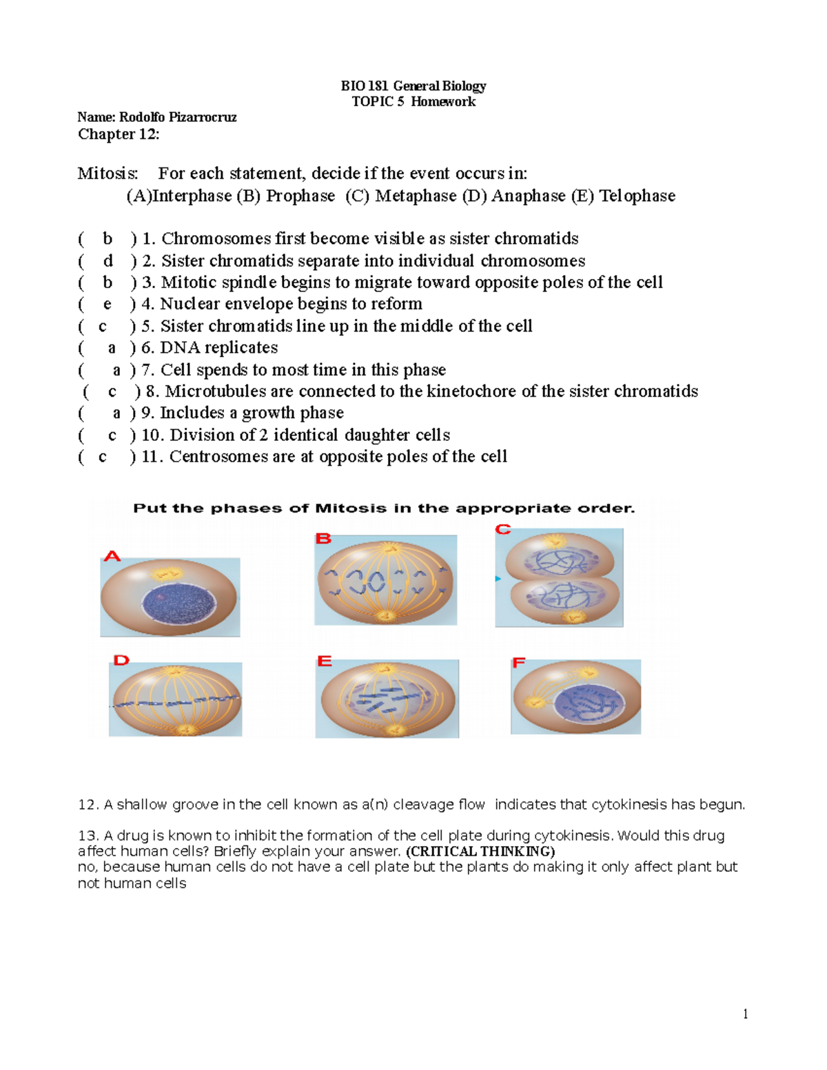 Week 9-HW - Chapter 12 - work - BIO 181 General Biology TOPIC 5 ...