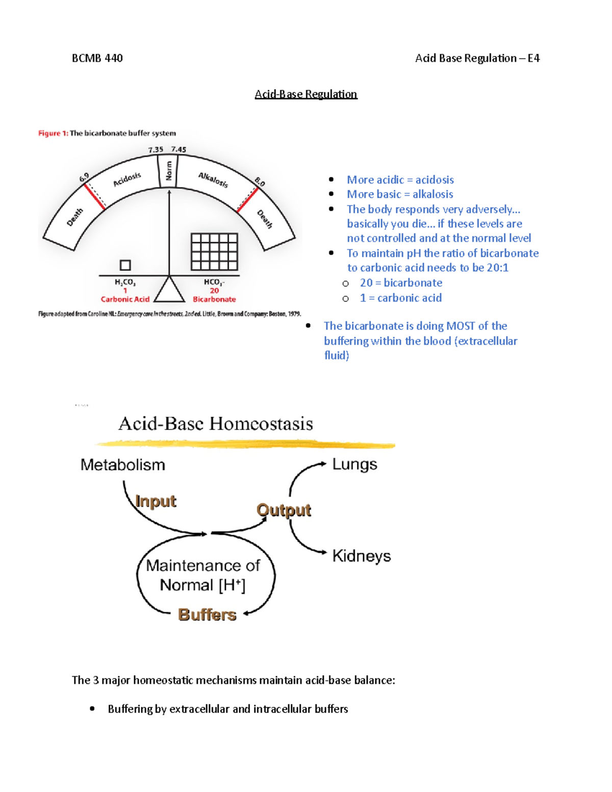 Acid Base Regulation - E4 - Acid-Base Regulation More acidic = acidosis ...