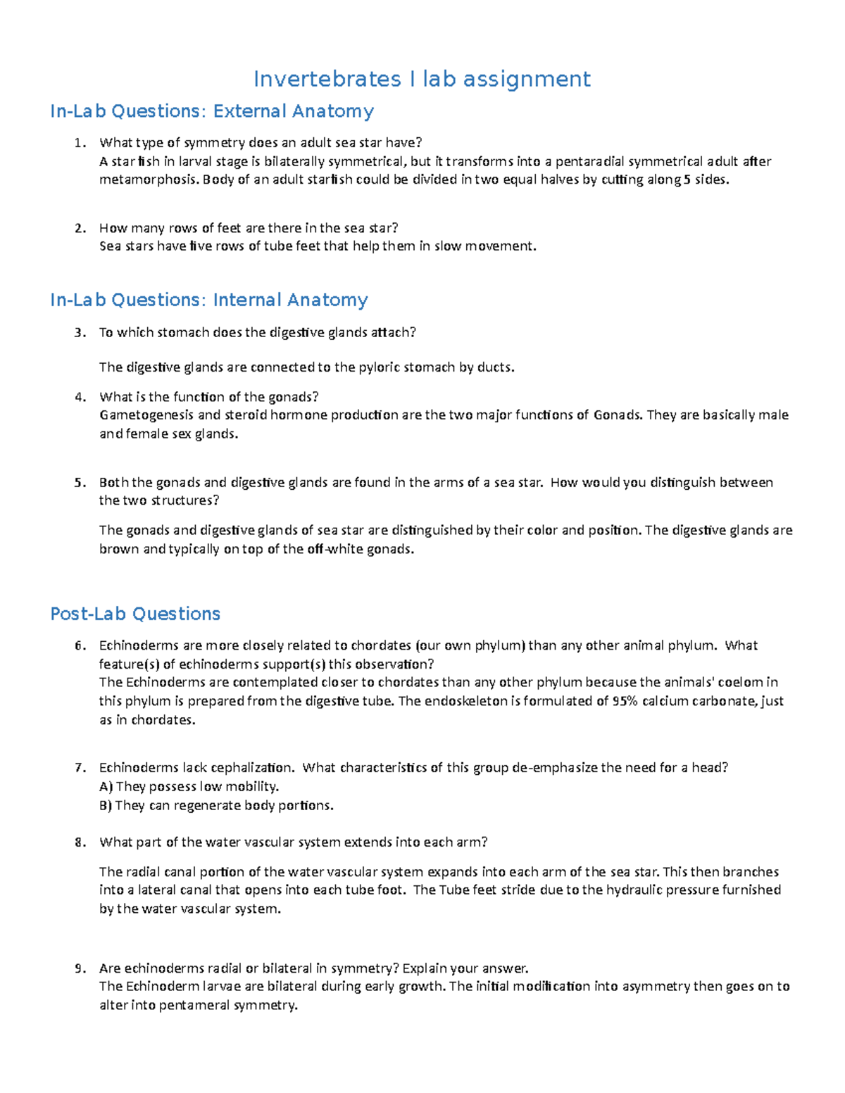 Invertebrate III lab - Body of an adult starfish could be divided in ...