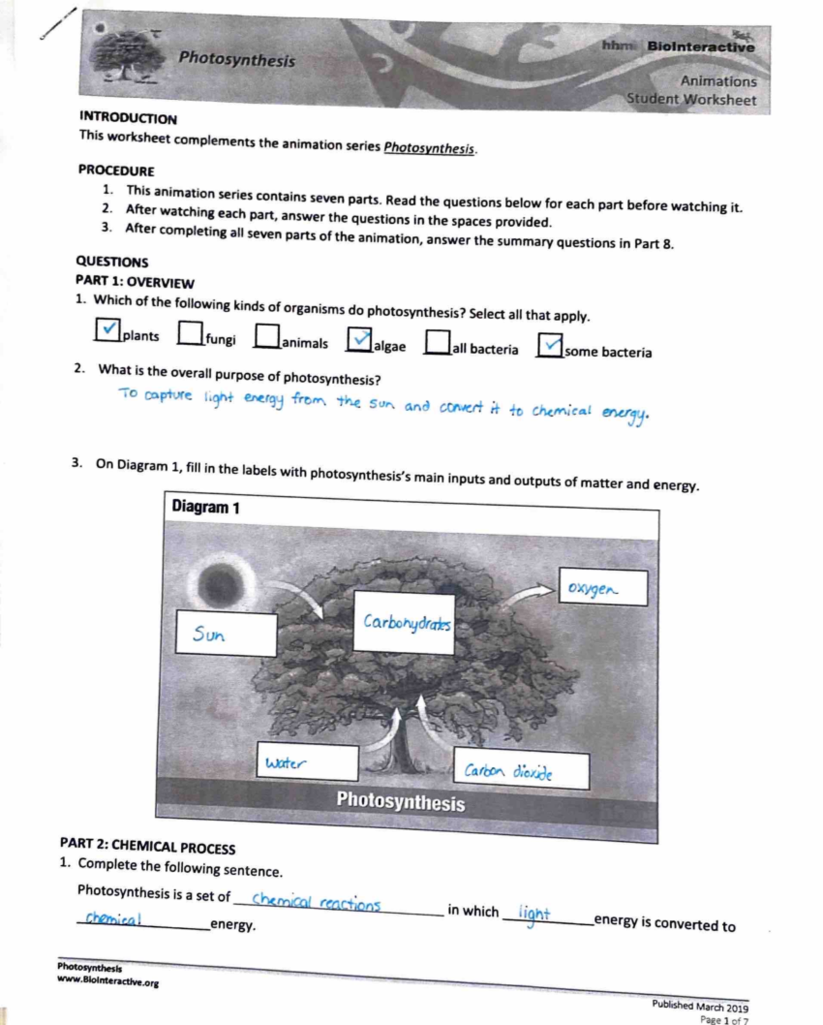 Paper (51) 1 - HHMI website activity - / / ."C' . .., Photo/9fjUf"'es ...
