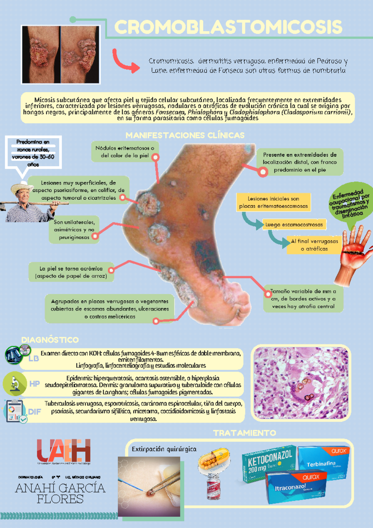 Cromoblastomicosis - Resumen Dermatología - CROMOBLASTOMICOSIS ...