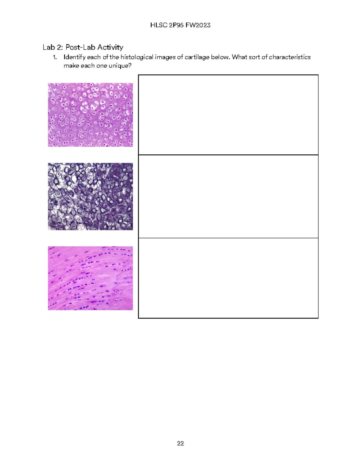 Systems Lab Manual FW2023 Lab 02 Worksheet - KINE 1P90 - HLSC 2P95 FW ...