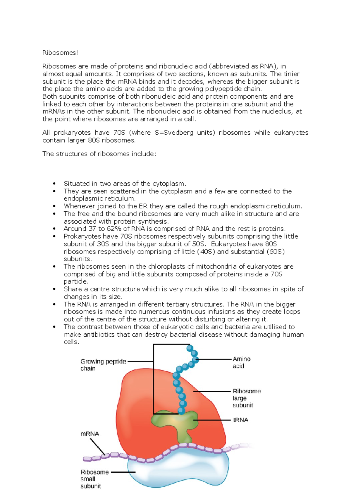 Ribosomes comprehension - Ribosomes! Ribosomes are made of proteins and ...