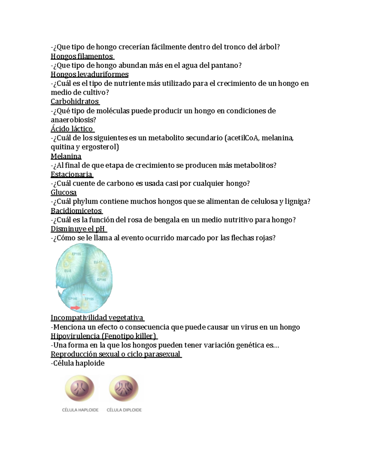 Mico - Notas - ¿Que tipo de hongo crecerían fácilmente dentro del ...