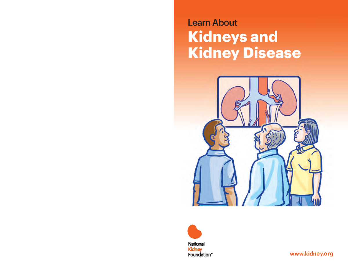 Leture notes about kidney - kidney Learn About Kidneys and Kidney ...