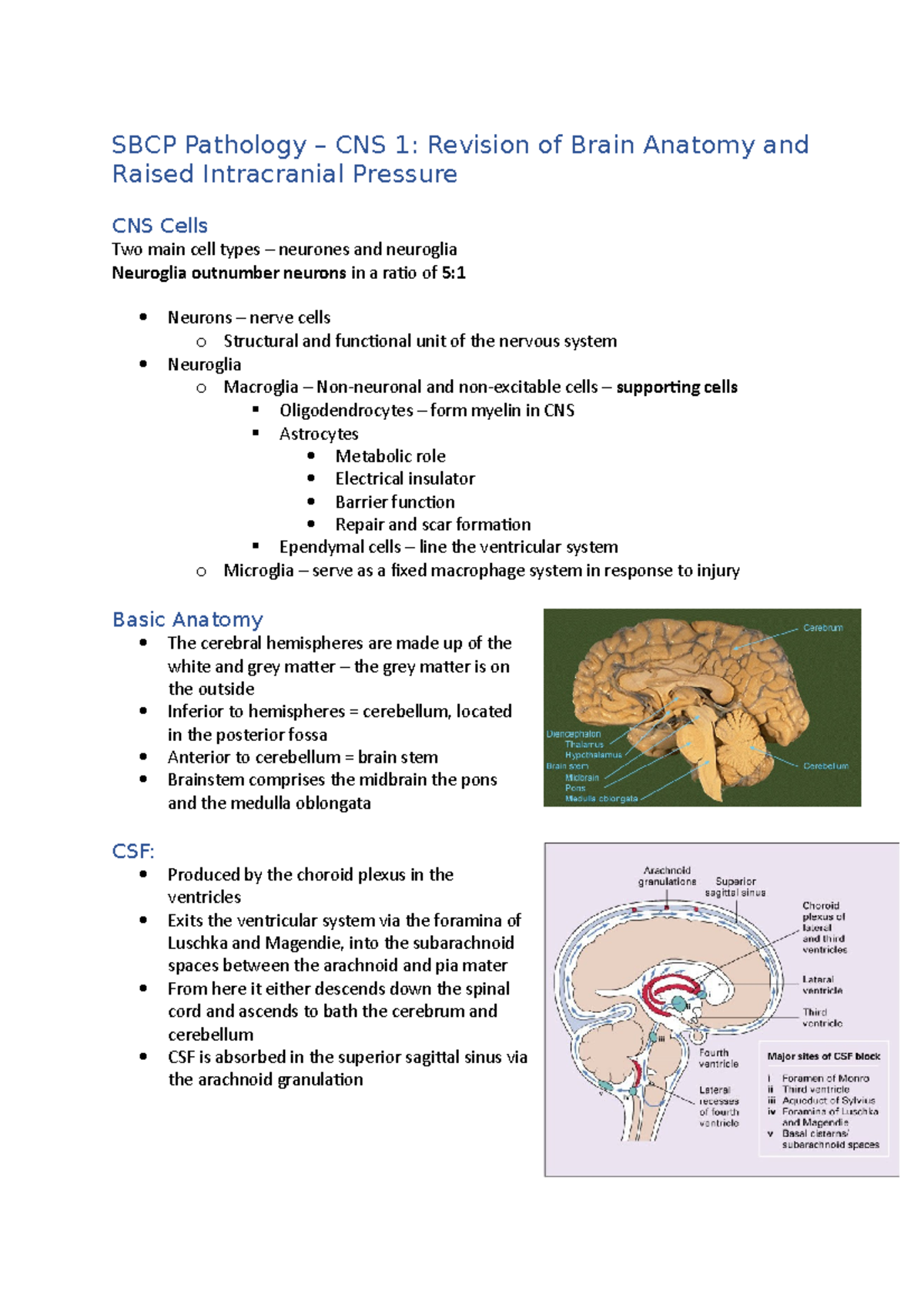 CNS Pathology 1-6 - Lecture notes 1-6 - SBCP Pathology – CNS 1 ...