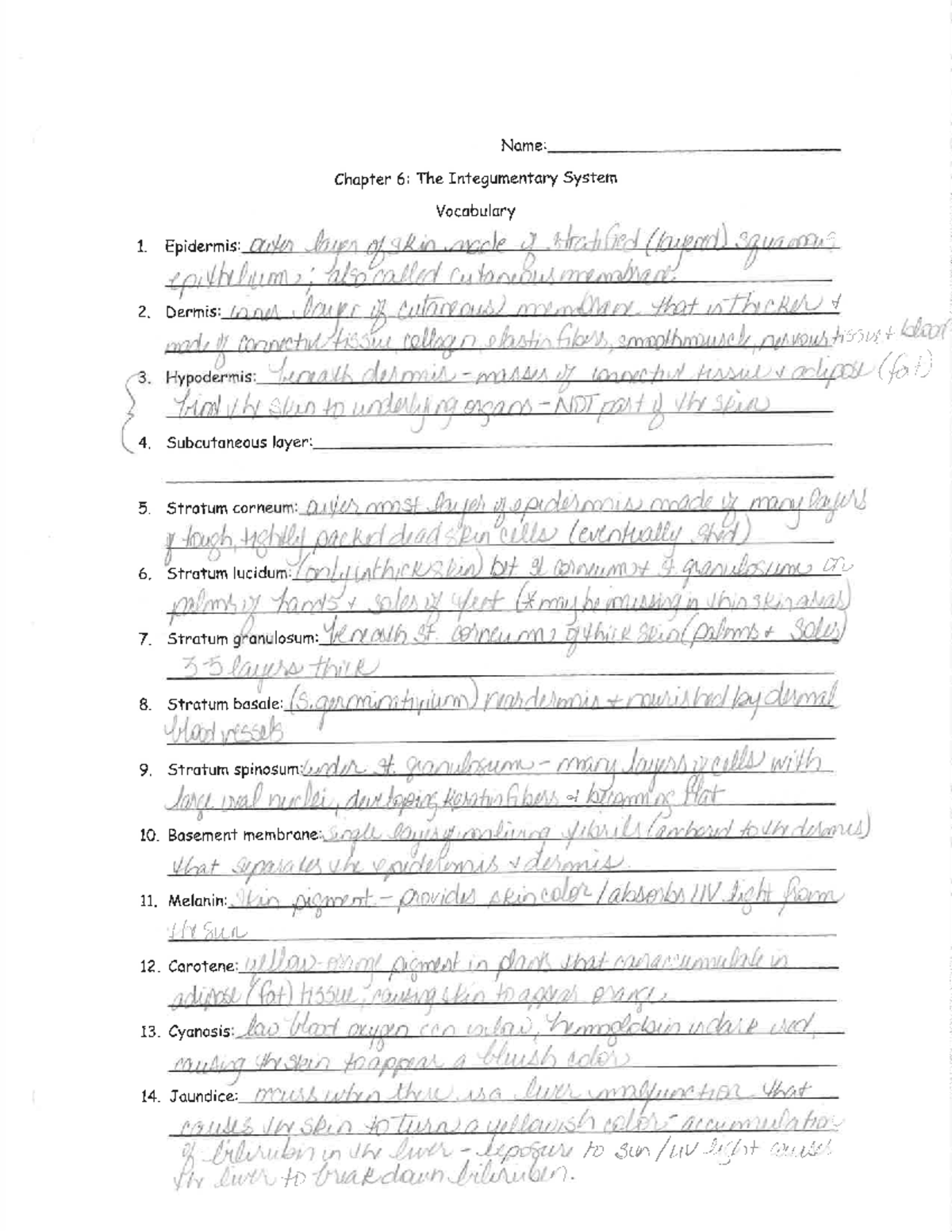 Chapter 6 Vocab filled in - Studocu