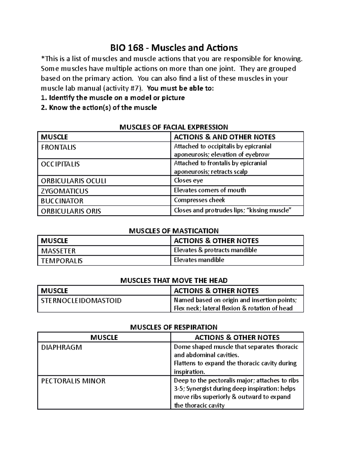 BIO 168 Muscle List by actions - BIO 168 - Muscles and Actions *This is ...