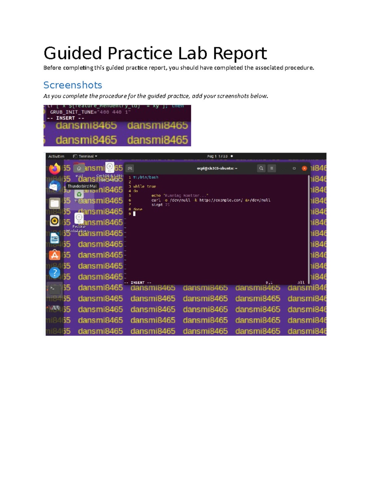 1.6 Guided Practice Apply Boot Process Concepts - CIS305 - Guided Practice Lab Report Before ...