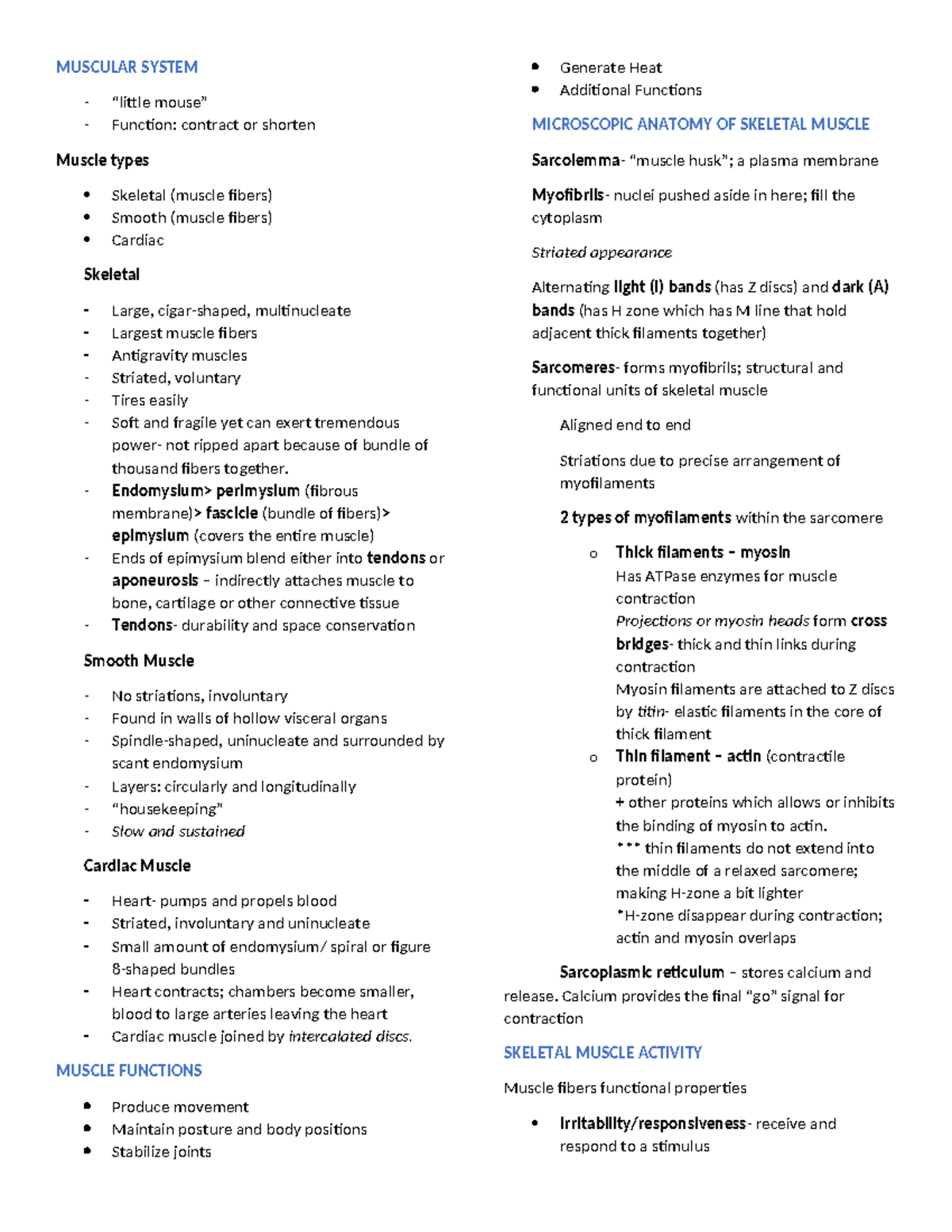 Muscular System - MUSCULAR SYSTEM “little mouse” Function: contract or ...