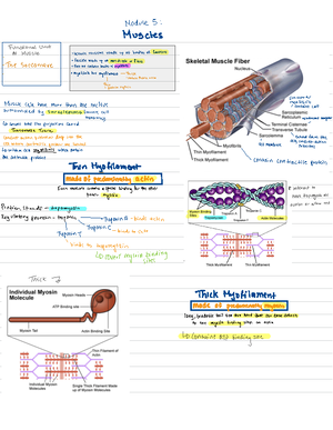Physiology Module 1-3 - Module one - Physiology what is physiology ...