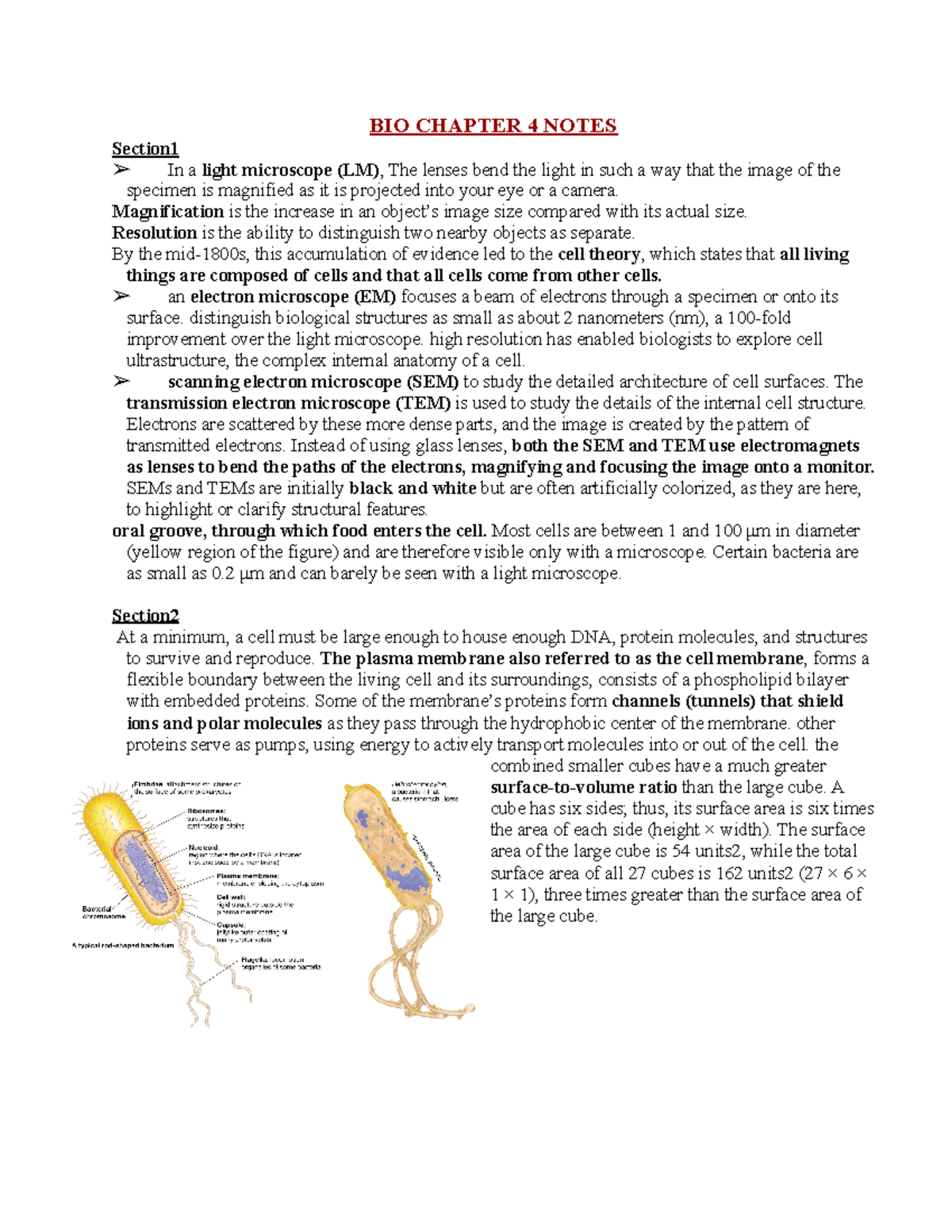 BIO 1050 chapter 4 Notes - BIO CHAPTER 4 NOTES Section In a light ...