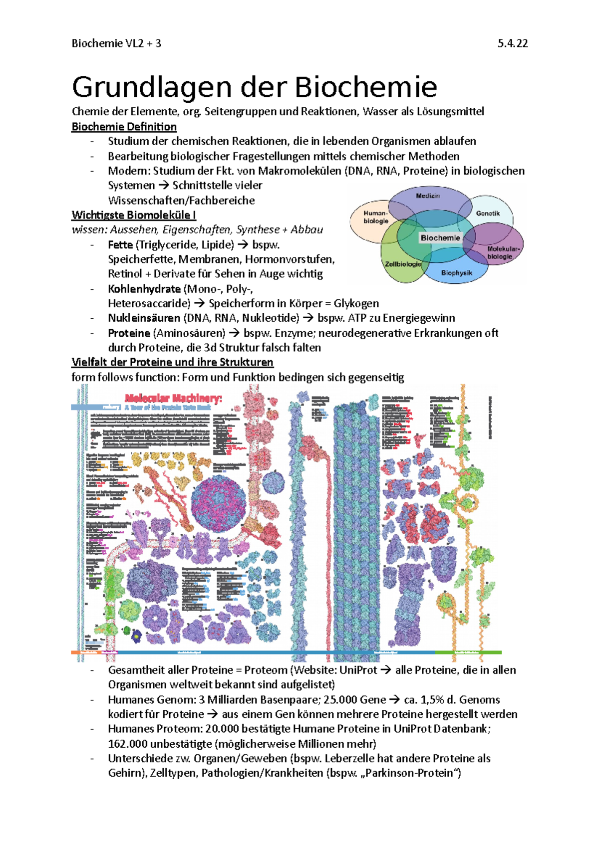 Biochemie VL 1-5 Chemie - Grundlagen der Biochemie Chemie der Elemente ...