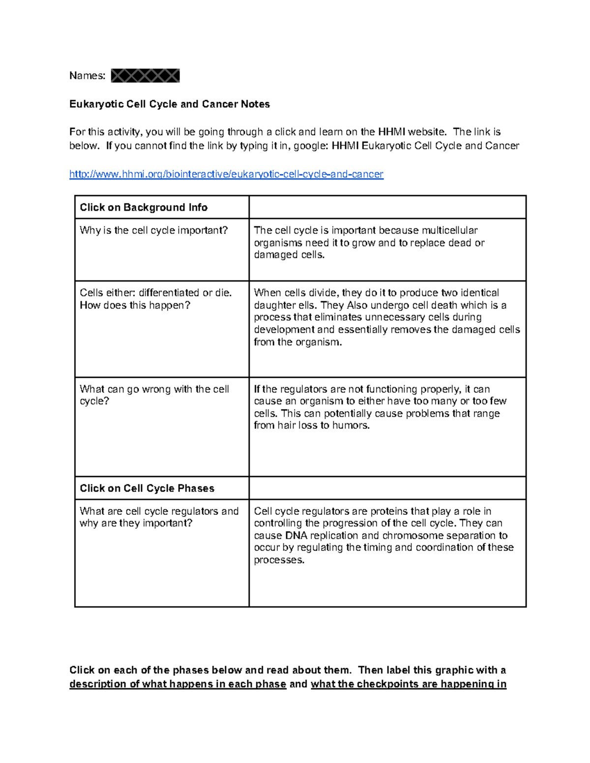 Cell Cycle and Cancer Worksheet with Website - Names: Eukaryotic Cell ...